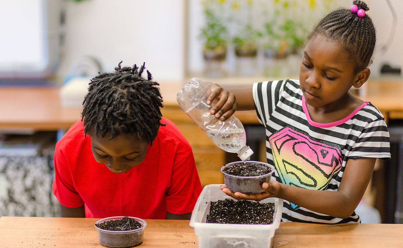 When to plant Fast Plants? - Wisconsin Fast Plants®
