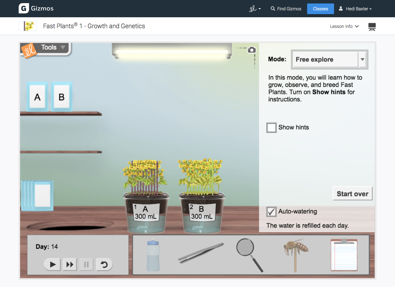 Fast Plants Gizmo Simulation Screenshot Wisconsin Fast Plants 