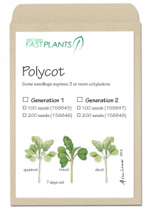 Polycots seed envelope - Wisconsin Fast Plants®